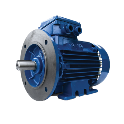 3Phase Induction Motor Supplier Malaysia | Motrade